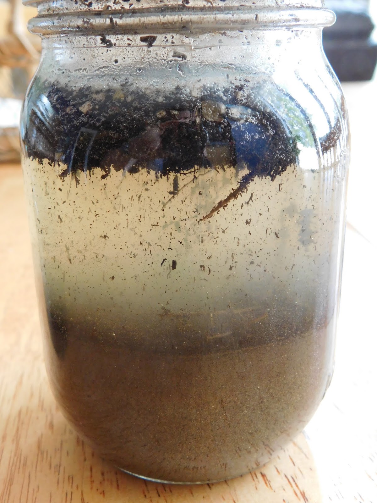100 Days of Science #87-- Sediment Layer Jars