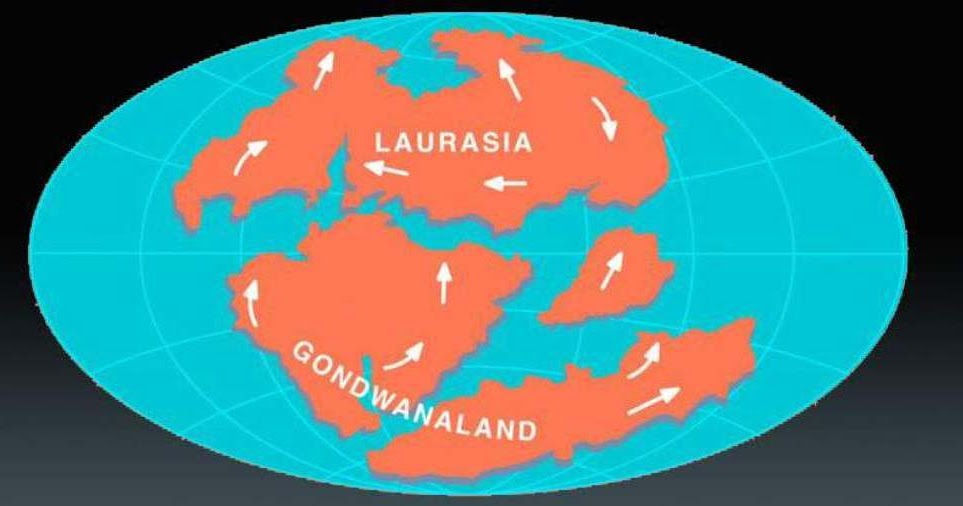 Weird Utah Fossil Forces Scientists to Rethink What They Know About ...