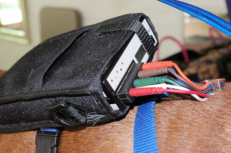 Boxers 101: Holter Monitor Hook-Up: The "Fort Knox" Method