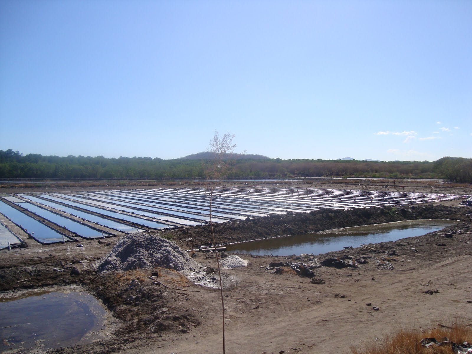 salado-man: Salinas PRODUSAL en accion!!!