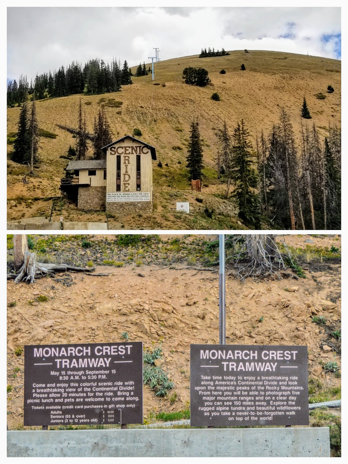 Mille Fiori Favoriti: Crested Butte to Monarch Pass--an Oh Be Joyful Route!