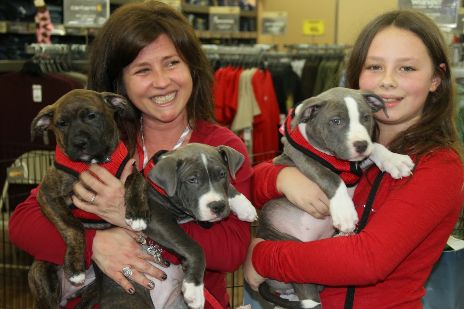 The Red Dog Project – Success! – This Old House 2