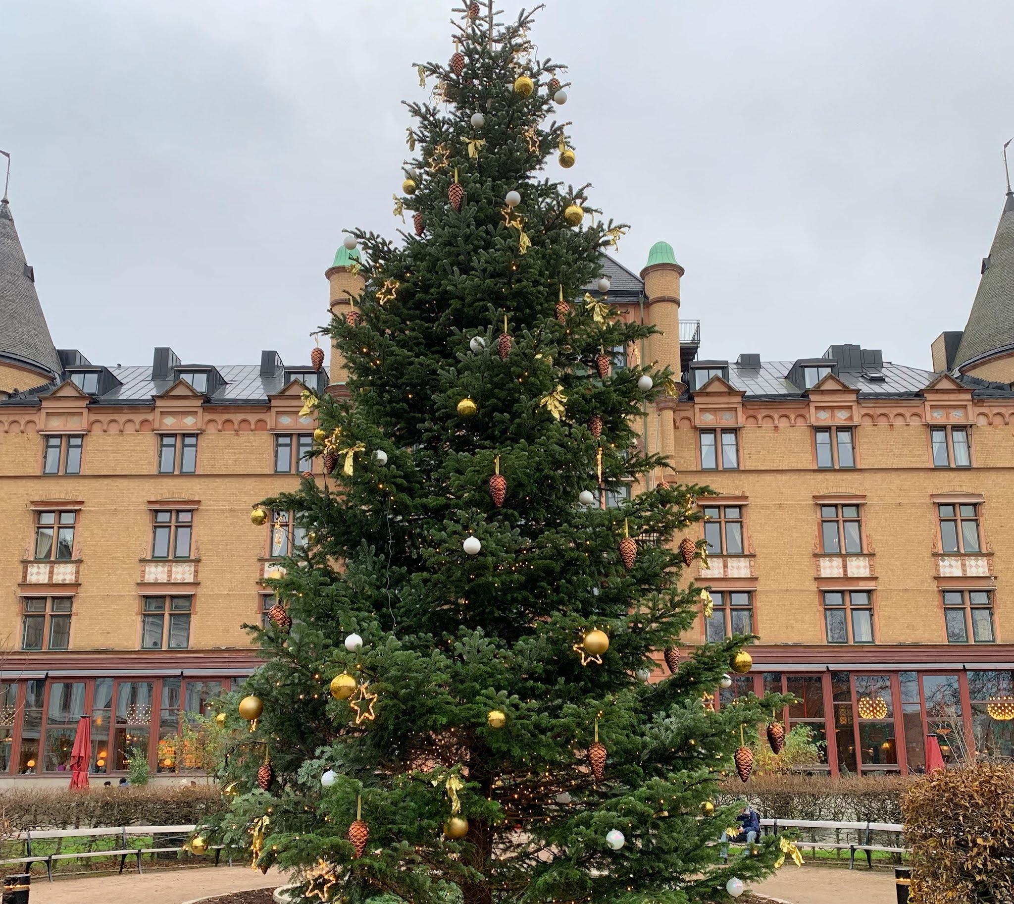 Destination Lund Sweden: Tourism, history and culture: Christmas trees ...