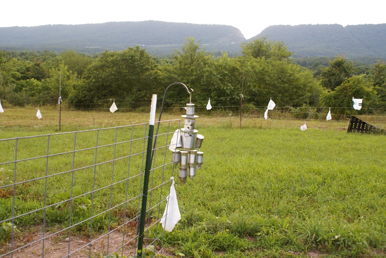 The Spice of Life: Personal Building Projects