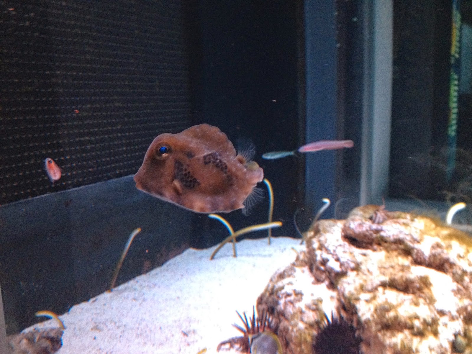 Exhibit Galleries Blog