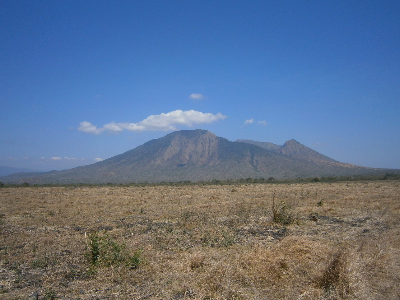 OURTRIP1st - Indonesia Tourism Services: BALURAN NATIONAL PARK