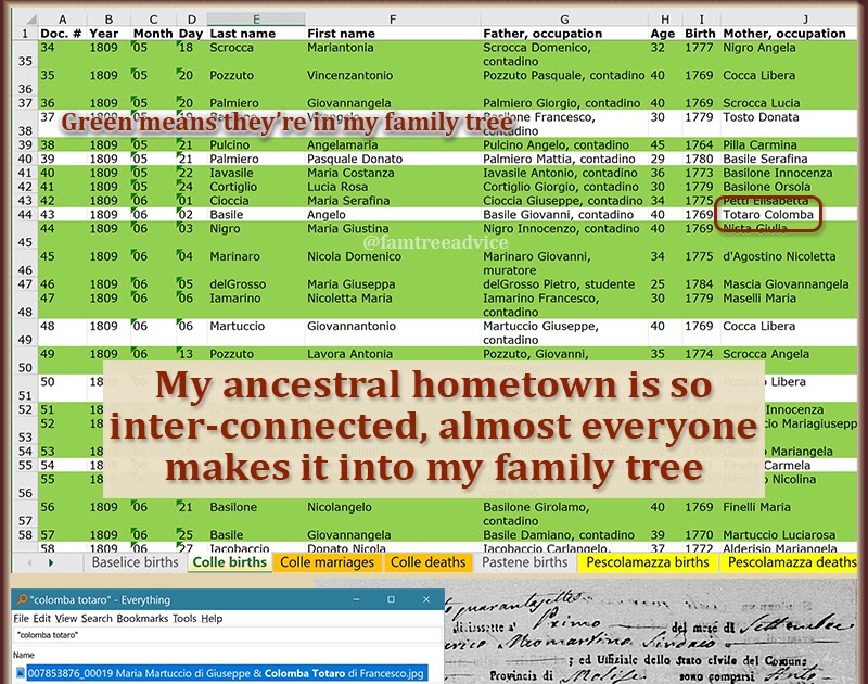 Fortify Your Family Tree: These Genealogy Projects Can Chase Away the ...