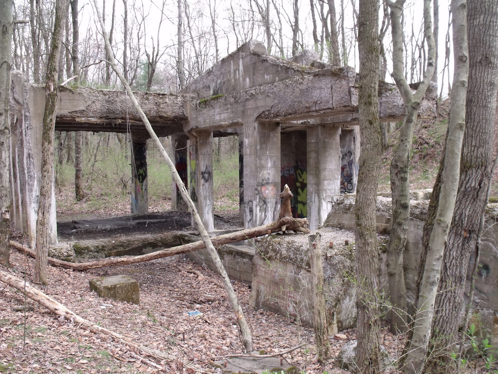 Discovery PA: Scotia Barrens & The Black Ghost