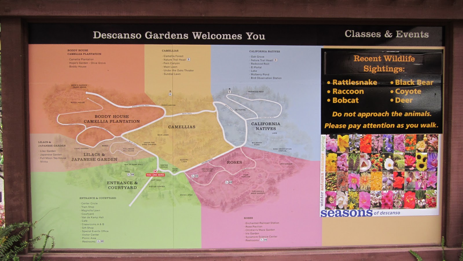 Field Trip to Descanso Gardens