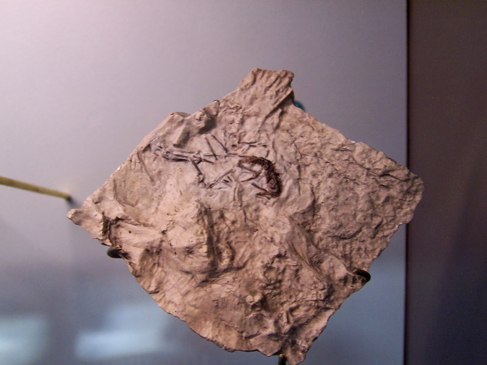 The Natural World: September 2013