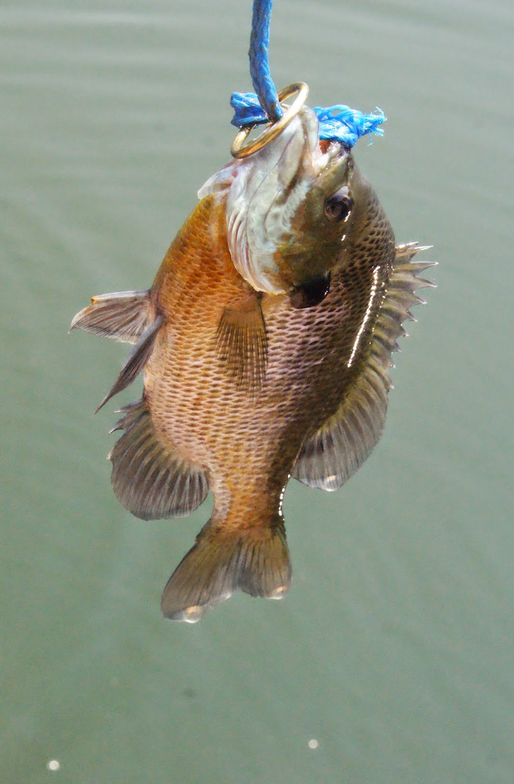 Schragville: Baseball & Fishing