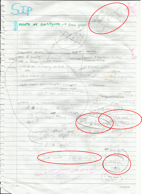 SIP Lab Book: Hard copy Journal