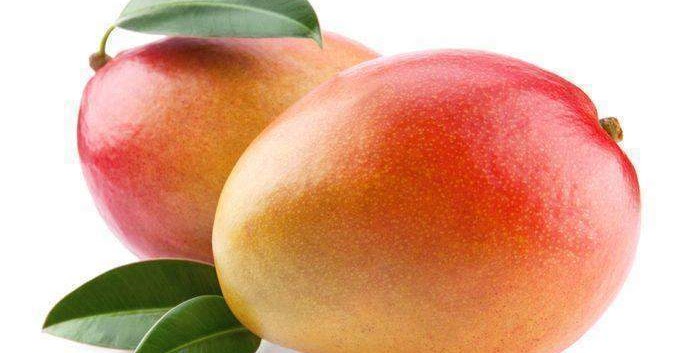 Exportacion de mango (Panamá-Japón): Evolución del producto