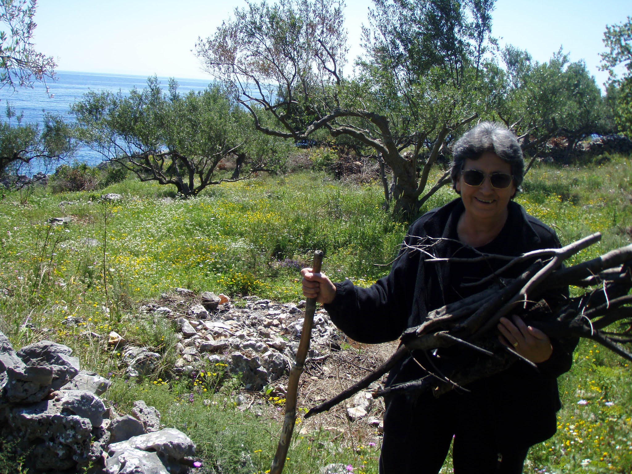 Η ΒΙΩΣΙΜΗ ΑΝΑΠΤΥΞΗ ΕΙΝΑΙ ΠΟΛΙΤΙΣΜΟΣ: Η ΕΛΙΑ ΤΗΣ ΚΑΡΔΙΑΣ