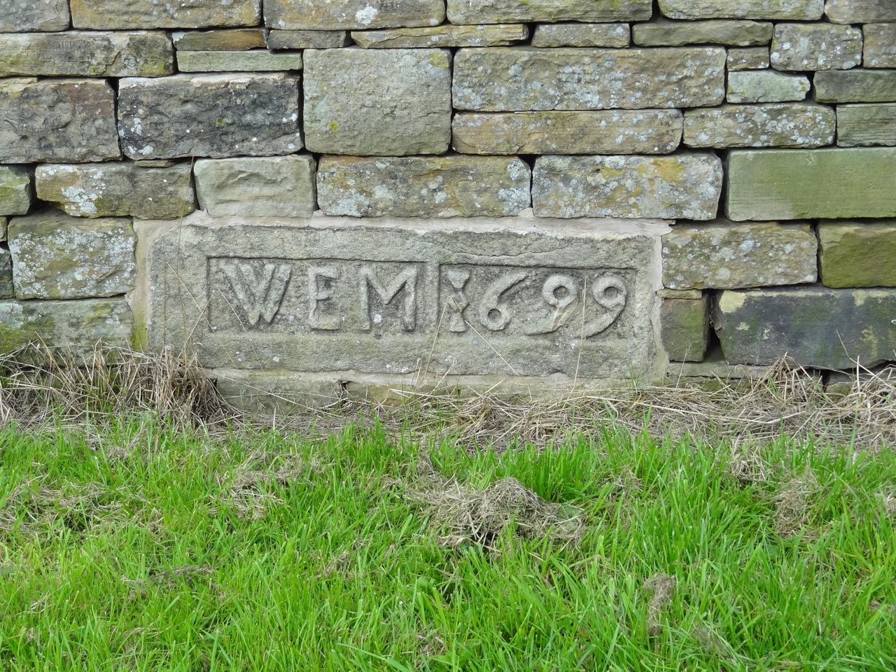 A Blog on the Landscape!: Watergrove Tops.