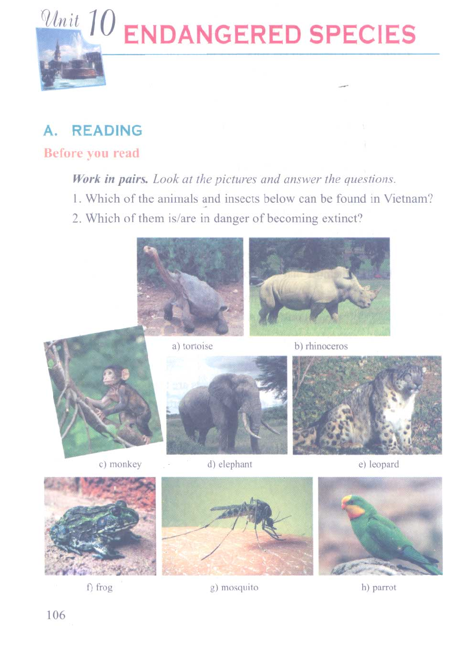 Unit 10: Endangered Species - Sách Giáo Khoa | Sách Giải Bài Tập | SGK ...