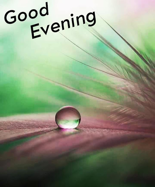 Good Evening Images