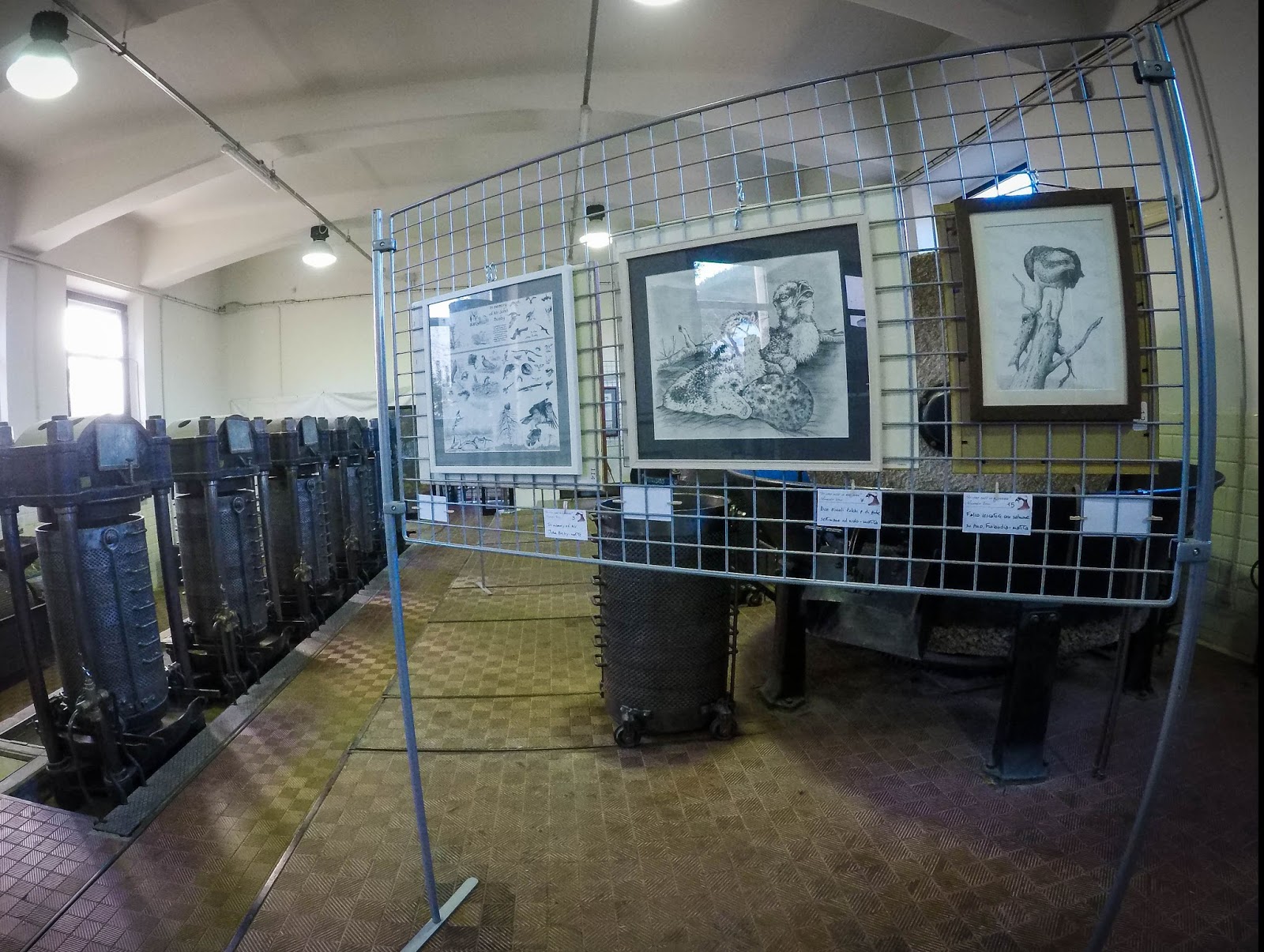 Alessandro Troisi - Osprey's illustrator