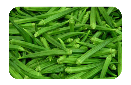 Fresh Vegetables ~ Fresh Vegies