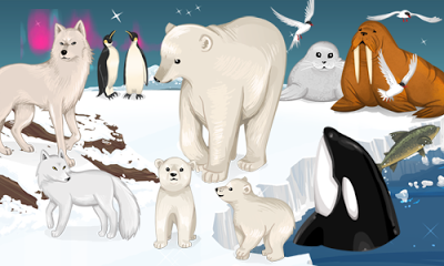 EL ARCO IRIS DE MI COLE: LOS ANIMALES DEL POLO NORTE