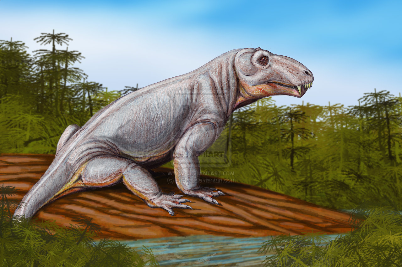 Escenarios prehistóricos: 04/13/11