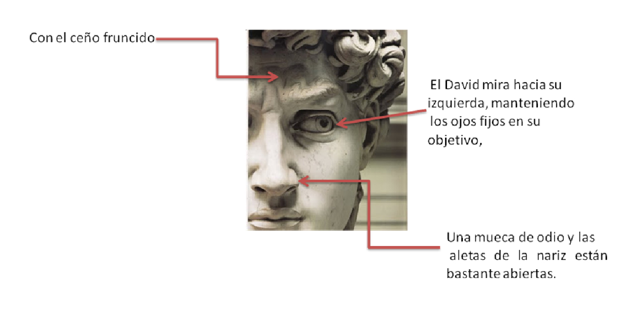 Análisis ~ El último paso del David