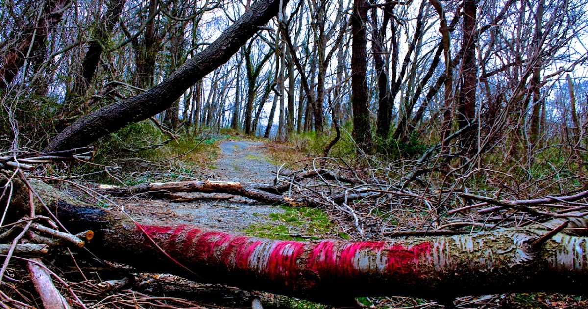 BRIAN KAVANAGH PHOTOGRAPHY: The Shattuck Estate [Long Island]