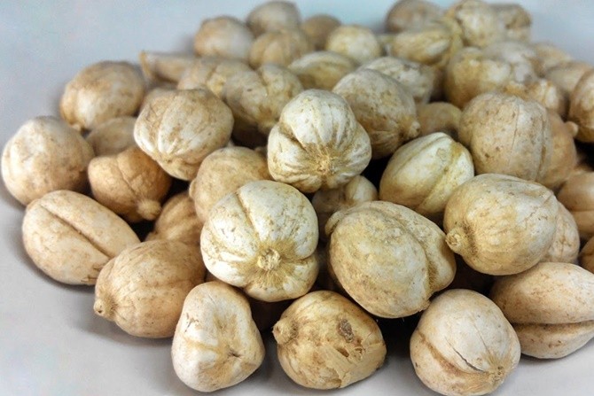 Exotic Plants in Indonesia