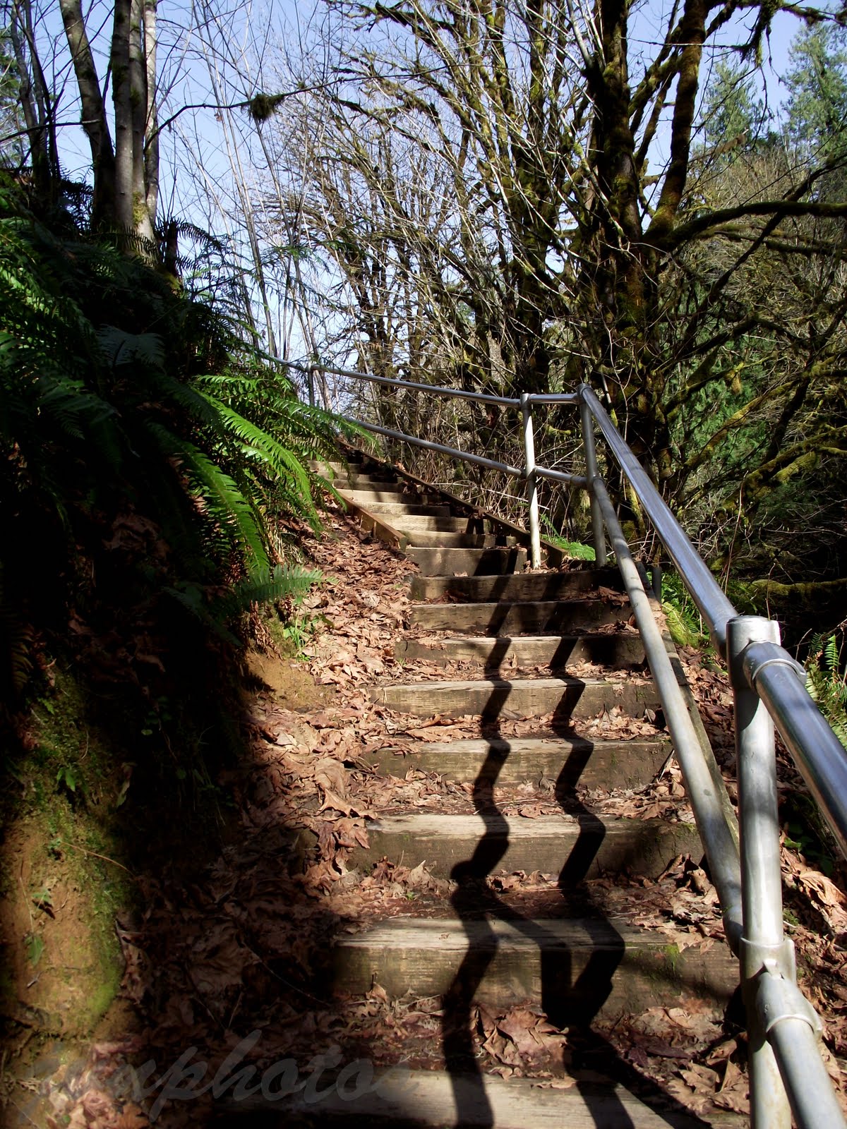 Photos by Jan: Triangle Lake, Oregon and Further Adventures