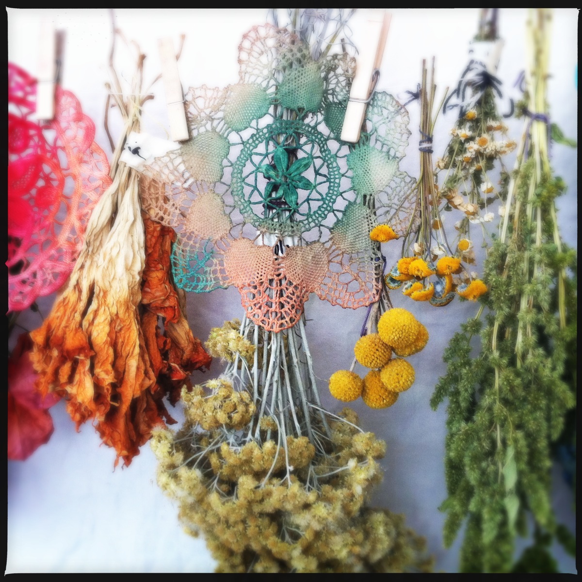 light color sound: dyeing & drying