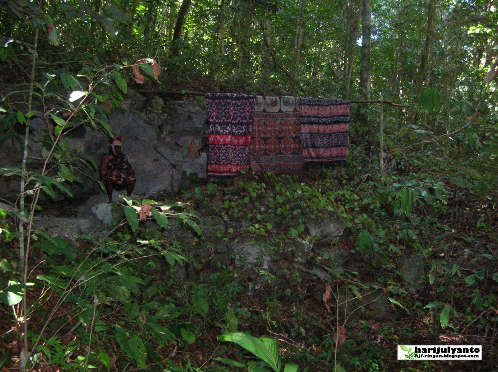 Ringan: Persembahan di Hutan Ritus ( Ritual Purung Taliang Marapu )