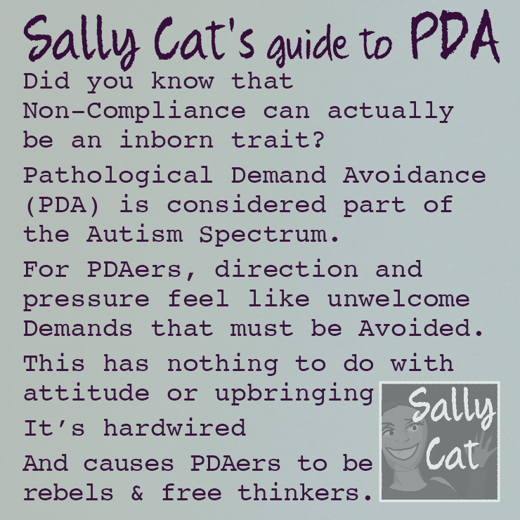 Sally Cat PDA: Memes About Demand Avoidance