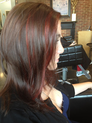 DV8 the salon: Aveda's New Color Line 2012