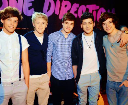 One Direction Girls ♥: Facts :)