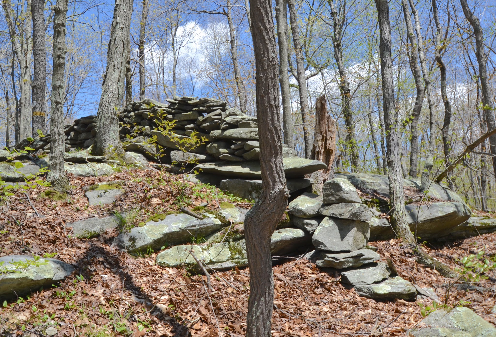 Focus On Killingworth, CT and Surrounding Towns