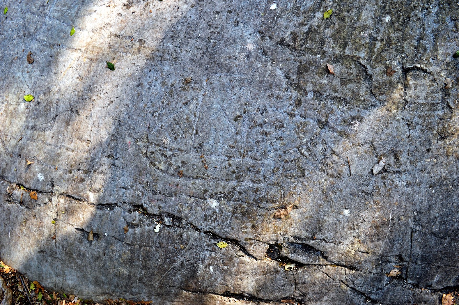 Escursione alle incisioni rupestri del monte Luppia da Punta San ...