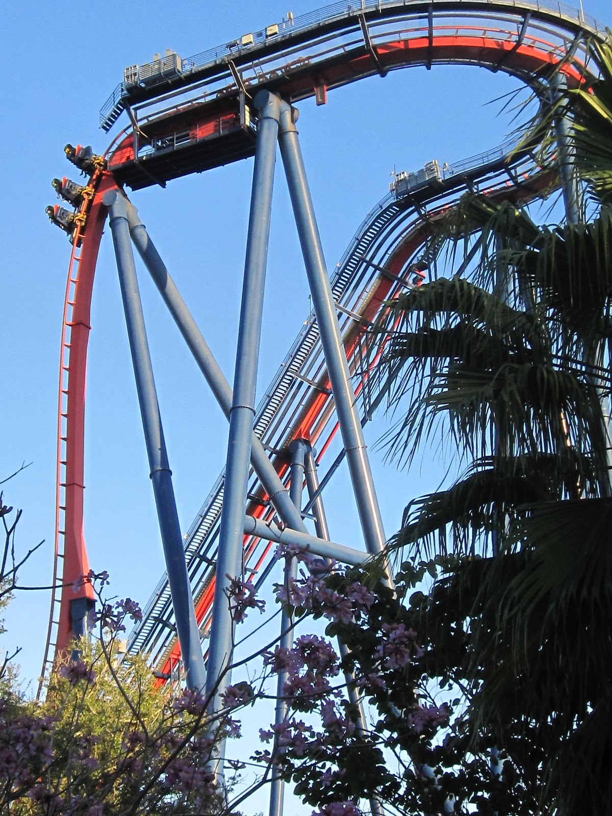 Bobbie's Roller Coaster And Theme Park Reviews: SHEIKRA