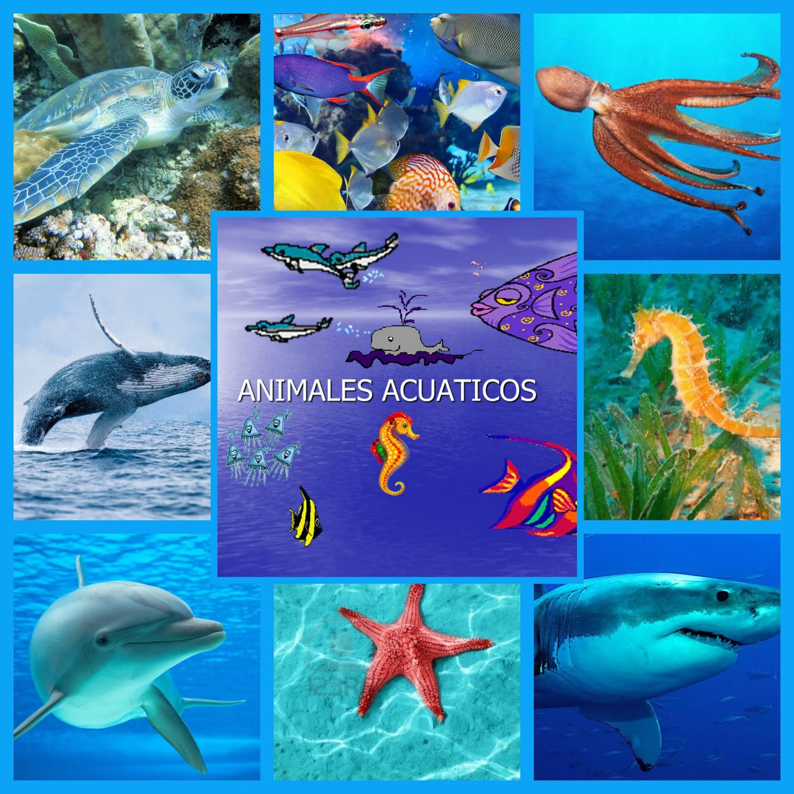 CUENTAMECUENTOS: PROYECTO EL AGUA