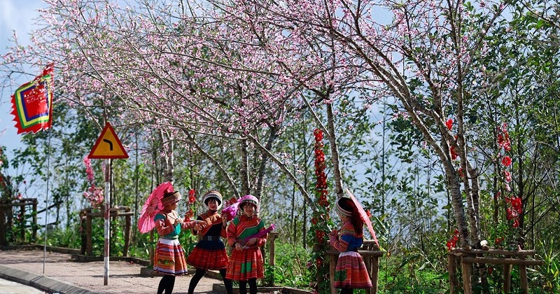 Attractive beauty of Sapa in the season of blooming peach | Vietnam ...