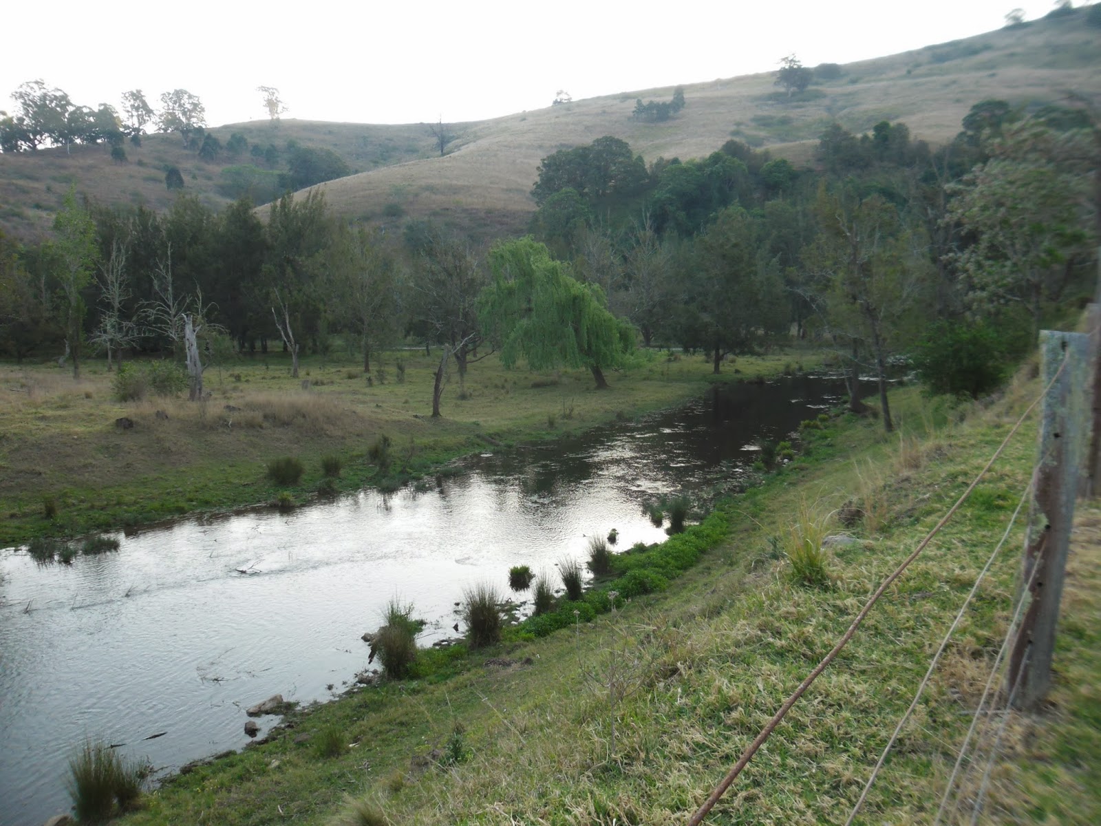 Bush, Fishing and Fun: Lostock Dam Caravan Park