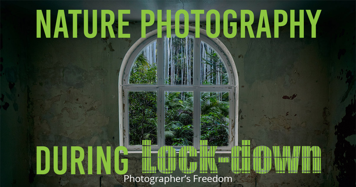 Nature Photography During Lock-down