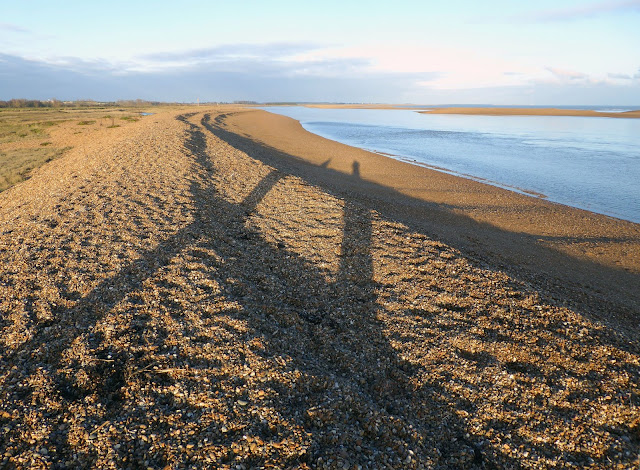 Wild and Wonderful: Shingle Street, a Wild Stretch of Suffolk Coast