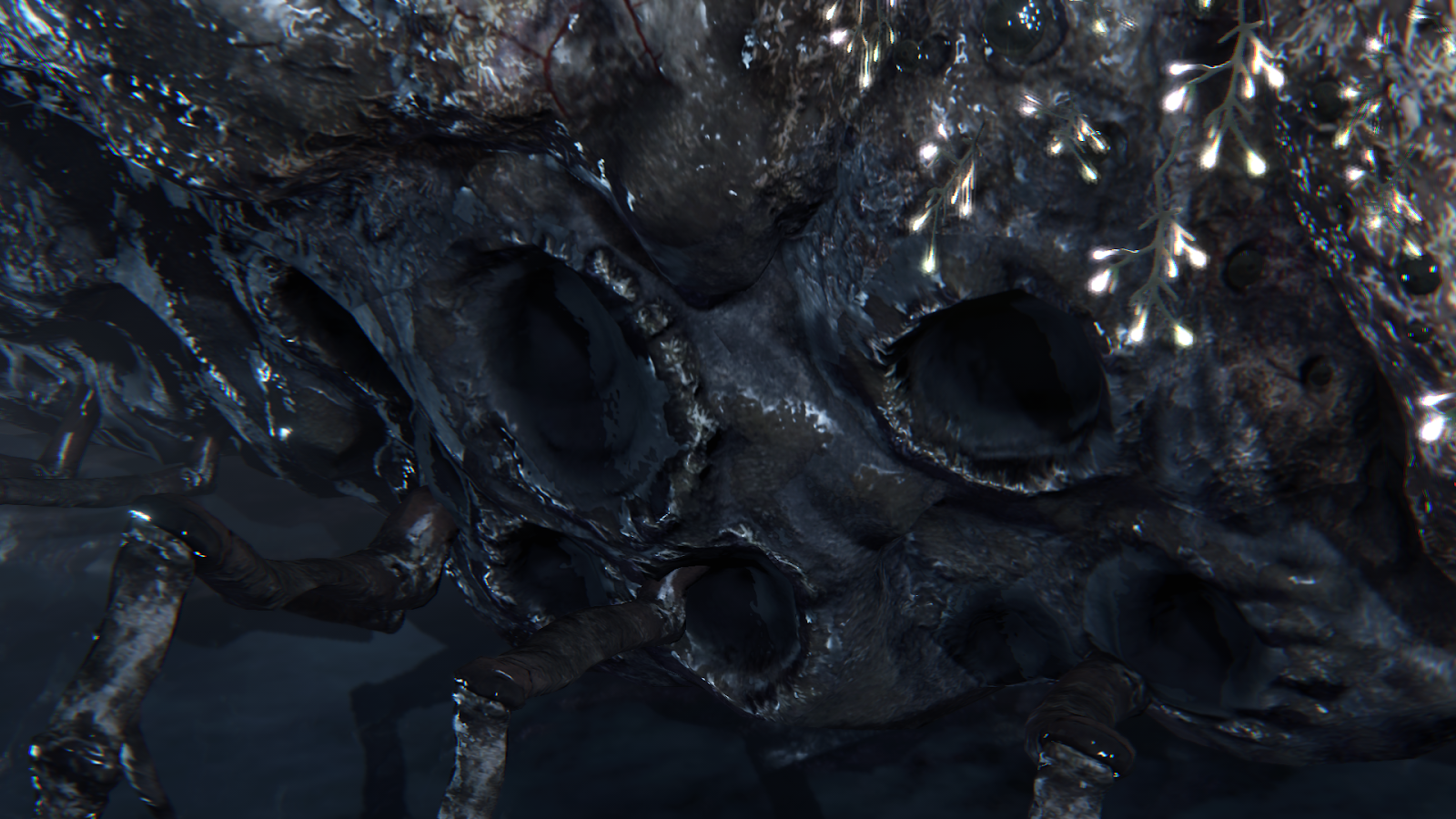 Rom, the Vacuous Spider Gallery | Bloodborne Wiki