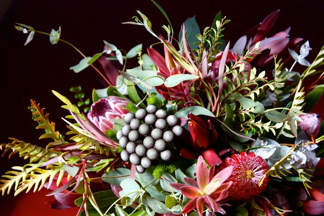 A Passion for Flowers: Grevillea Ivanhoe: A Fall Favorite