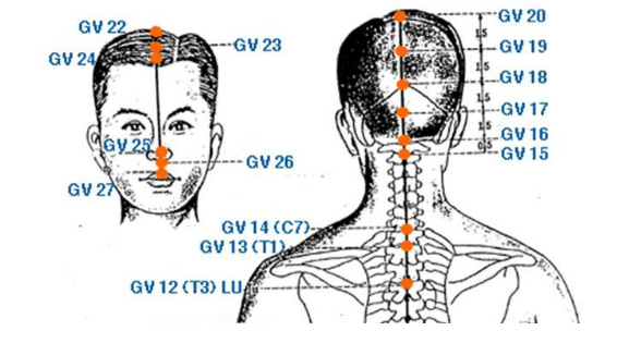Akupuntur: Titik Meridian DU / GV