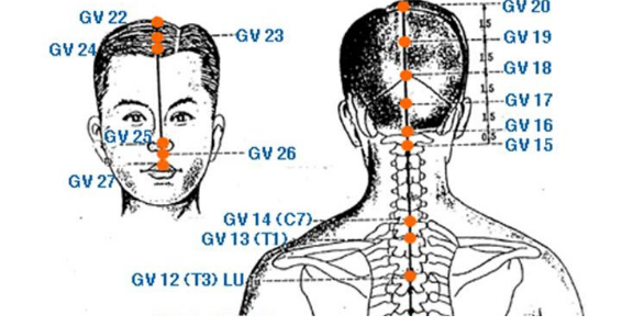 Akupuntur: Titik Meridian DU / GV