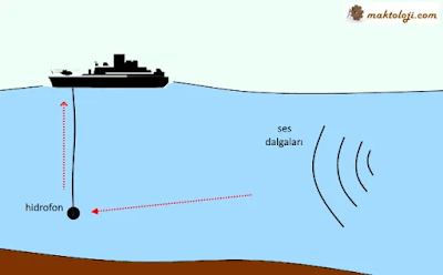 Hidrofon Nedir? Nasıl Çalışır? ~ Makine ve Teknoloji Merkezi