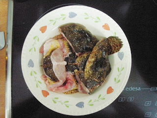 LA VIDA ES NAVEGAR.....: SAPO FRITO...