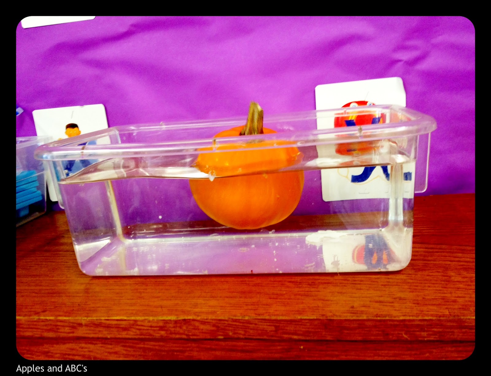 Learning About Pumpkins - Apples & ABC's