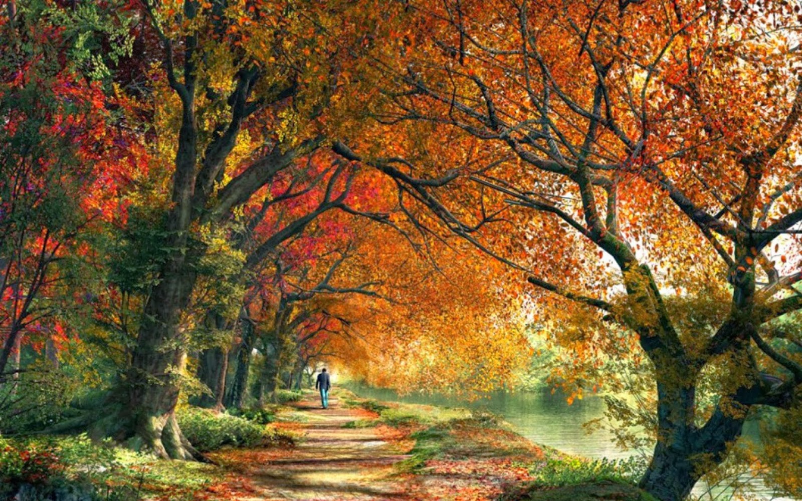 Ewallpics: Farest Wallpapers